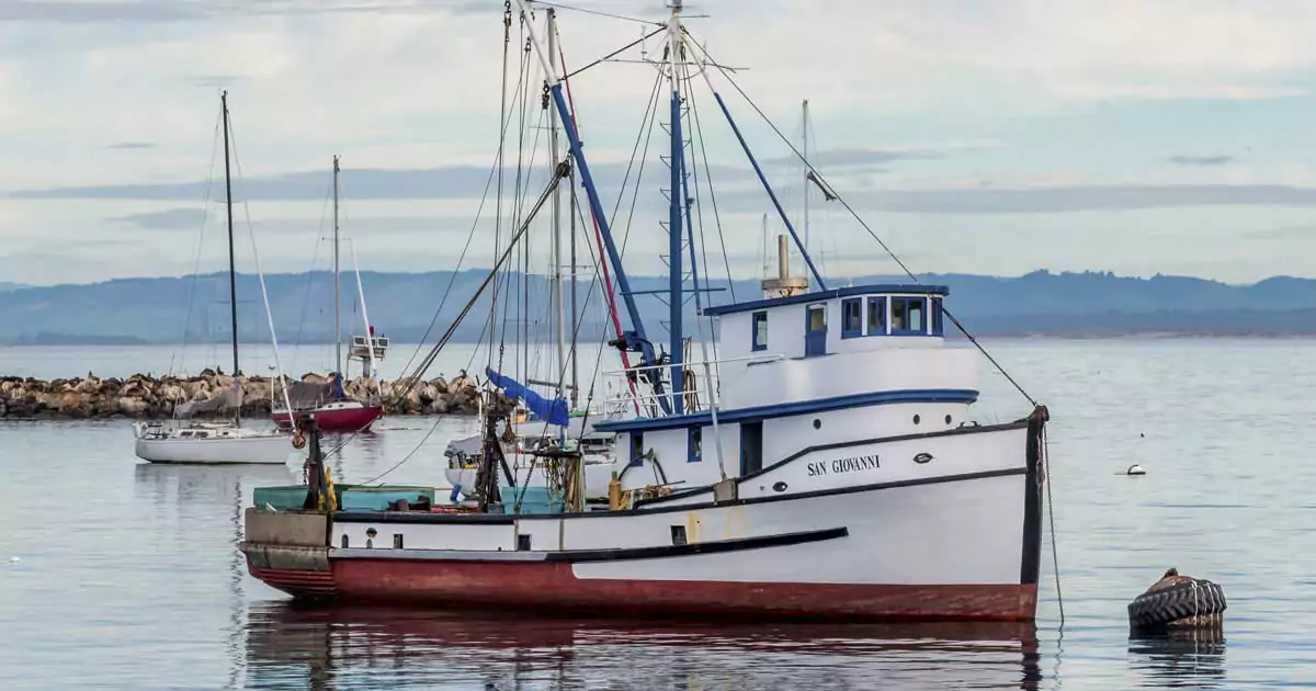 Hvordan bliver man fisker? Du får svaret lige her!